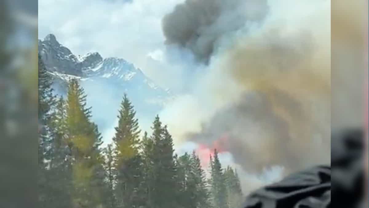 Alerta de calidad del aire en Memphis debido a los incendios forestales ...