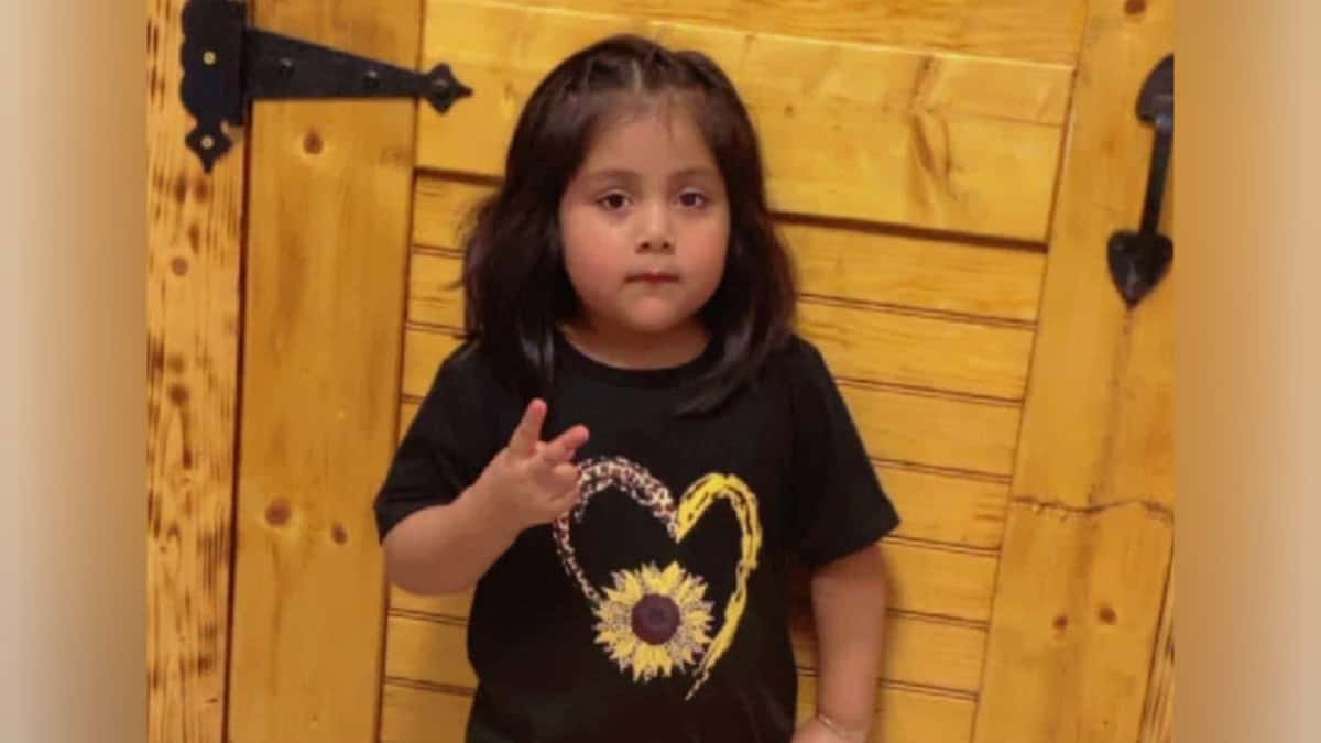 Celina Sánchez, de 6 años, pierde la vida tras ser atropellada por un ...